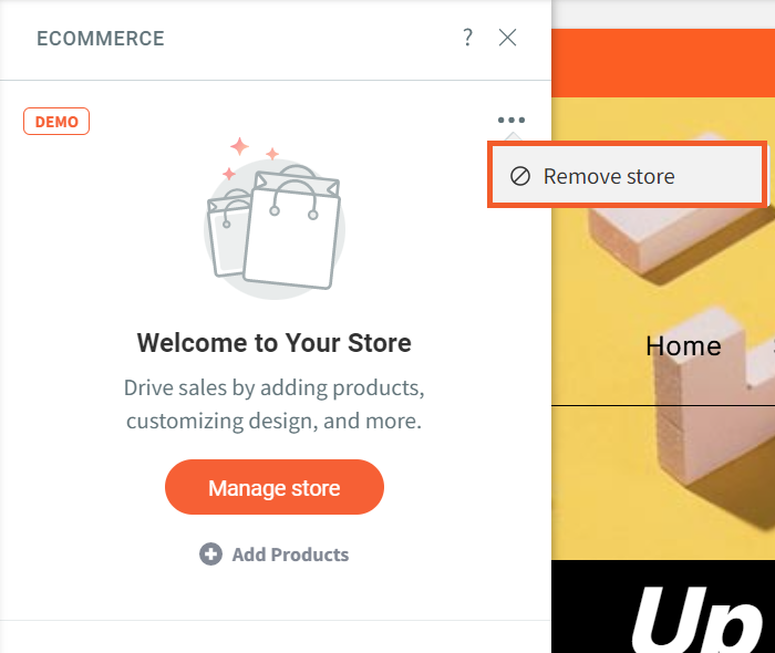 Remove Free Demo Store (Third Party Store) – Duda Support